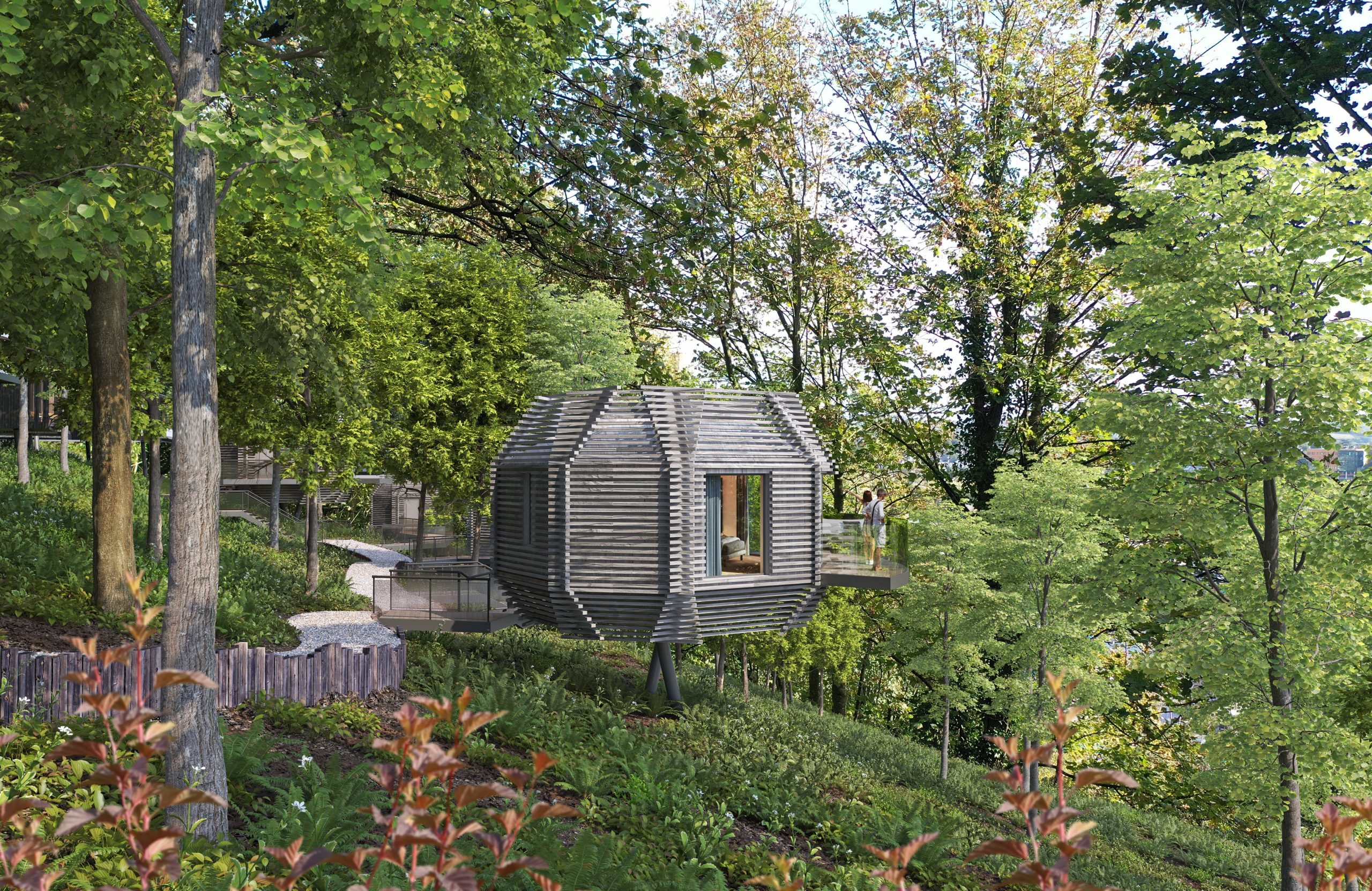New Luxury Treehouse Suites | Woodland Nests at The Montenotte